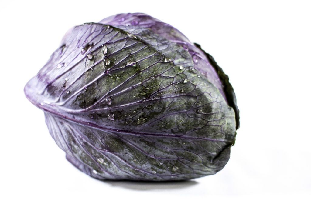 Pointed cabbage, red - Axel Månsson A/S